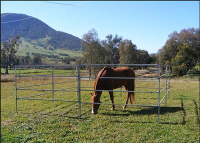 China 1.8m Height Cattle Farm Panels , Animal Metal Horse Fence Panels Flexible for sale