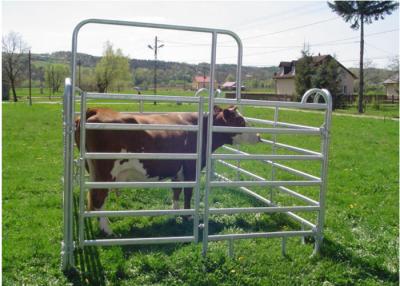 China Light Weight Cattle Corral Panels Animal Fence Panels Round / Square / Oval Tube Type for sale