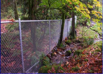 China Multi Purpose Hurricane Chain Link Fence Zoo Wire Mesh Diamond Pattern for sale
