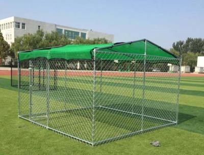 China Eco-Friendly Galvanized Chain Link Dog Cage For Animals 60 * 60mm for sale