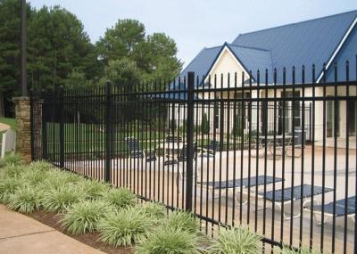 China Black Decorative Metal Fencing , Ornamental Iron Fence Panels 40*40mm Horizontal Rail for sale