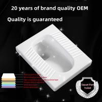 China Bathroom Washdown Ceramic Squat Toilet Modern Customized S Trap With Tank for sale