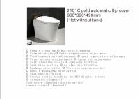 China Ceramic Floor Mounted Odm Sanitary Ware Toilet P Trap for sale