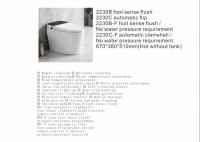 China Elongated Sanitary Ware Toilet , Siphon Flush Toilet Ce Approval for sale