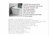 China Ceramic Floor Mounted S Trap Sanitary Ware Easy Clean for sale