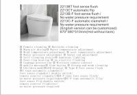 China Bathroom Ceramic OEM Sanitary Ware Toilet Smart One Piece S Trap for sale