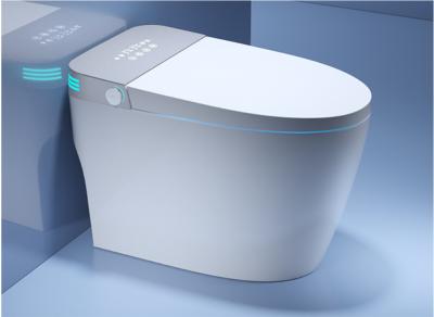 China Color Gray CE One Piece Sanitary Ware Automatic Cleaning And Heating for sale