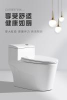 China 10 Inch Rough In One Piece Elongated Toilet Dual Flush Wall Mounted for sale