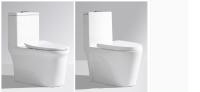 China Siphon Impulse Sanitary Ware Toilet Odor Proof Toilet Sanitary Items for sale