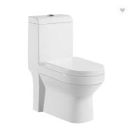 China Dual Flush 1 Piece Toilet 10 Inch Rough In 540X360X900mm White for sale