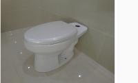 China Dual Flush Sanitary Ware Toilet Gravity Flushing Marine Yacht Toilet for sale