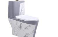 China Colorful Gold Sanitary Ware Toilet Hotel Single Piece Commode Super Siphon for sale