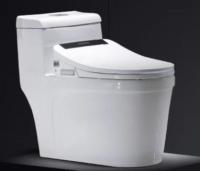 China All In One Imitation Intelligent toilet seat floor mounted Super Siphon With Wall Row for sale