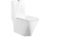 China White Glazed European Water Closet Floor Mounted Siphonic Elegant for sale