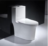 China Intelligent Flushing Toilet Water Closet Seat One Piece Tall Elongated Toilets for sale