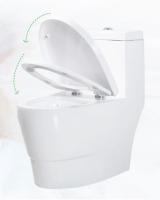 China Modern Elongated WC Sanitary Ware Toilet Dual Flush 690X370X760mm for sale