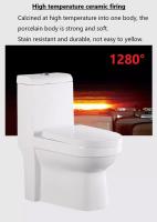 China Comfort Height Siphonic One Piece Bathroom Toilet Dual Flush Single Piece Closet for sale