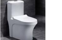 China Extra Height Inodoros Rimfree Sanitary Ware Toilet White Ceramic Wc Toilet Bowl for sale