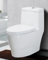 China Hidden Suspension Embedded Sanitary Ware Toilet Extended Wall Mounted Water Closet for sale