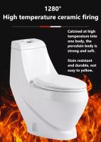 China Gravity Double Flush One Piece Bathroom Toilet All In One Toilet 690X370X760mm for sale