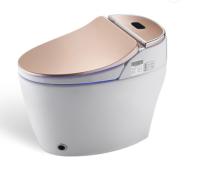 China Integrated One Piece Sanitary Ware Toilet Super Large Caliber for sale