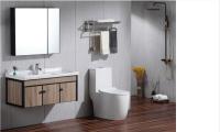 China Insect proof Bathroom Wash Basin Cabinet Ready Made Wash Basin With Cabinet for sale