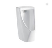 China Ceramic Hung In Wall Urinalfor Men Only Gravity Flushing Top Spud for sale
