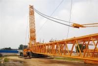 China 750T used LIEBHERR crawler crane 2009 for sale
