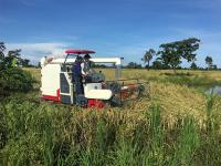 China RL（4LZ-6.0P）102hp TRACK COMBINE HARVESTER cutting bar   combine machinery MADE IN CHINA for sale