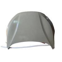 China BYD Song Max DM 6 81km Carbon Fibre Bonnet Hood for High Competitio for sale
