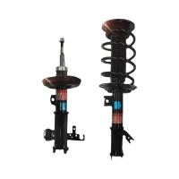 China BAIC CHANGHE Car Fitment Shock Absorber Assembly Auto Parts Original for EC180/EC200/EC220 for sale