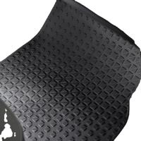 China High Fit TPE Floor Mat for HiPhi Y Full Set within Sports Design Style for sale