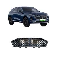 China Great Wall Wei Pai Moka Front Radiator Grille Assembly with Car Fitment 5509203xvc01A for sale