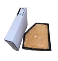 China 110901000 VOYAH Air Filter Original Spare Parts with Standard Size OE NO. 110901000 for sale