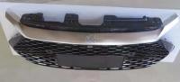 China 2020- Front Bumper Grille Assembly with NO OE NO. and Middle Net Grille for sale