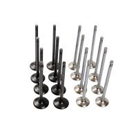 China Chinese Auto Parts Lynk Co Engine mheV General Intake and Exhaust Valve Set Original for sale