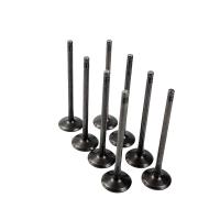 China Chinese Auto Parts Lynk Co Engine mheV General Intake and Exhaust Valve Set Original for sale