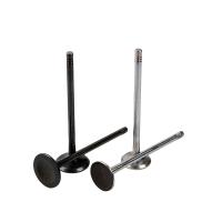 China Chinese Auto Parts Lynk Co Engine mheV General Intake and Exhaust Valve Set Original for sale