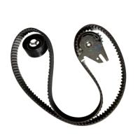 China Auto Trumpchi 1.8T Timing Repair Set Timing Chain Tensioner for BEV Engine OE NO. no for sale