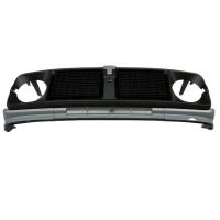 China PAO Car Spare Parts Great Wall Tank 300 Radiator Grille Middle Mesh at Direct for PAO for sale