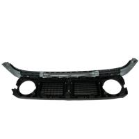 China PAO Car Spare Parts Great Wall Tank 300 Radiator Grille Middle Mesh at Direct for PAO for sale