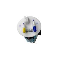 China Chery QQ3 6 A5 E5 Fulwin2 TIGGO3 ARRIZO5 Fuel Pump for SHIPPING SEA AIR DHL FEDEX EMS for sale