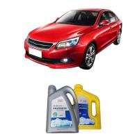 China 2KG Antifreeze Engine Coolant for Chery E3 Tigo 8P3 75 E5 Arezer 5GX EX 7A3A1 F F for sale