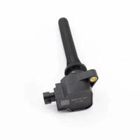 China Customized High Voltage Pack Ignition Coil for Haval H6 H8 H9 by Great Wall for sale