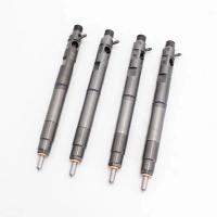 China Fuel Injector Assembly for Poer Wingle5 Wingle7 Feng Jun 5 CC1031PA04H-23 Guaranteed for sale