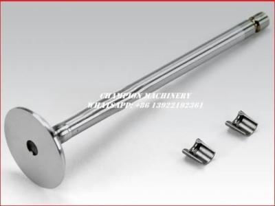 China Standard Size 3802924EA Cummins Engine Parts Intake Valve Kit for sale