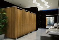 China Moisture-Proof HPL Bathroom Divider 12mm Hotel School Airport Shopping mall for sale