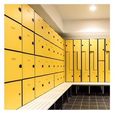 China Flat Pack  Small Employee Lockers Furniture Enclosed  Outdoor Lockers For Schools for sale
