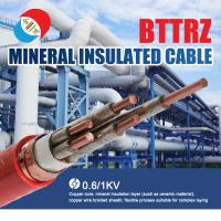 China BTTRZ Mineral Insulated Cable Flexible Stranded Reinforced MI Cable for sale