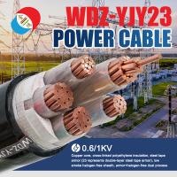 China WDZ YJY23 Electric Power Cable Steel Tape Armored LSZH XLPE Insulation for sale